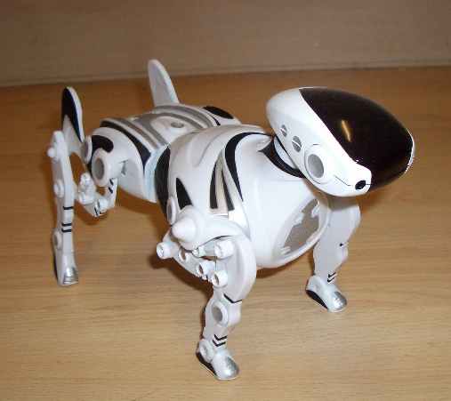 RobosapienV2! A must have from wowwee